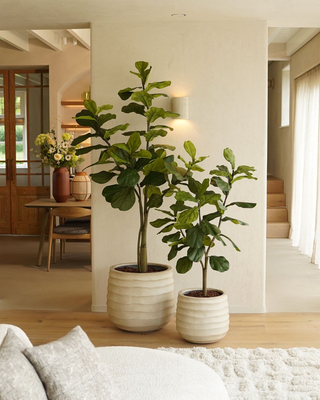 Funky Ficus - Kunstplant ficus lyrata en ficus pumila in verschillende ...