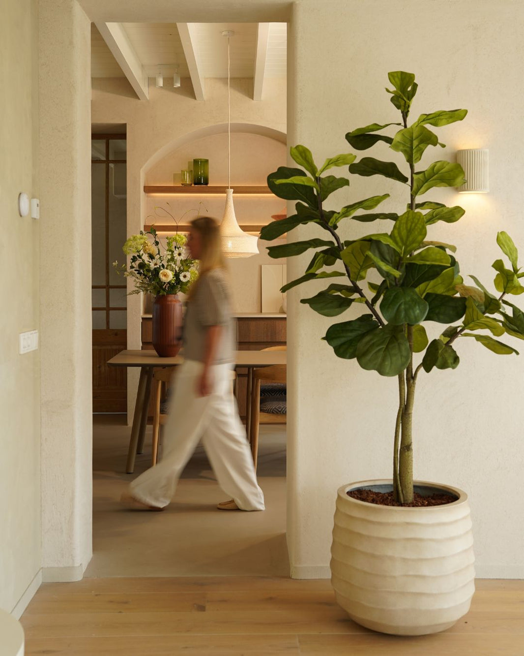 Funky Ficus - Kunstplant ficus lyrata en ficus pumila in verschillende ...